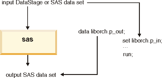 Getting input from an InfoSphere DataStage data set or a SAS data set